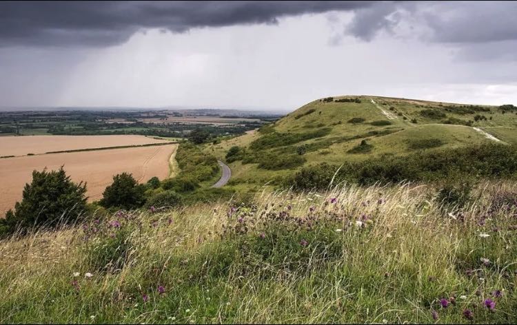 6 Best Walking Routes Across South East England for Outdoor Adventures ...